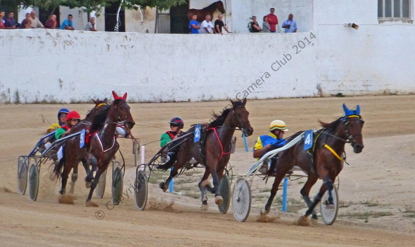 TROTTING RACE by Barrie Wood - Welcome to Banbury Camera Club